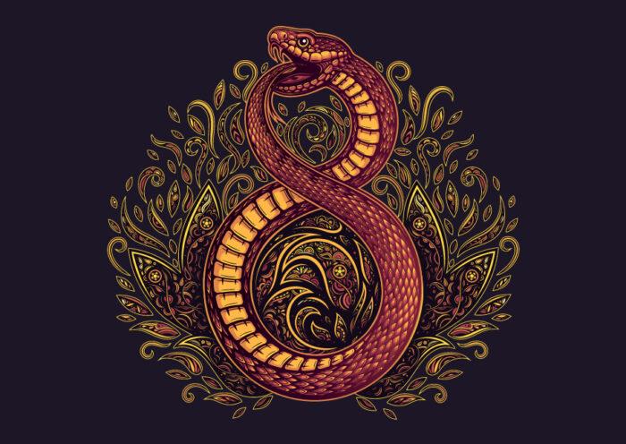 Daniela Quaranta, lutto nel mondo tolkieniano - Tolkien con te, ogni giorno